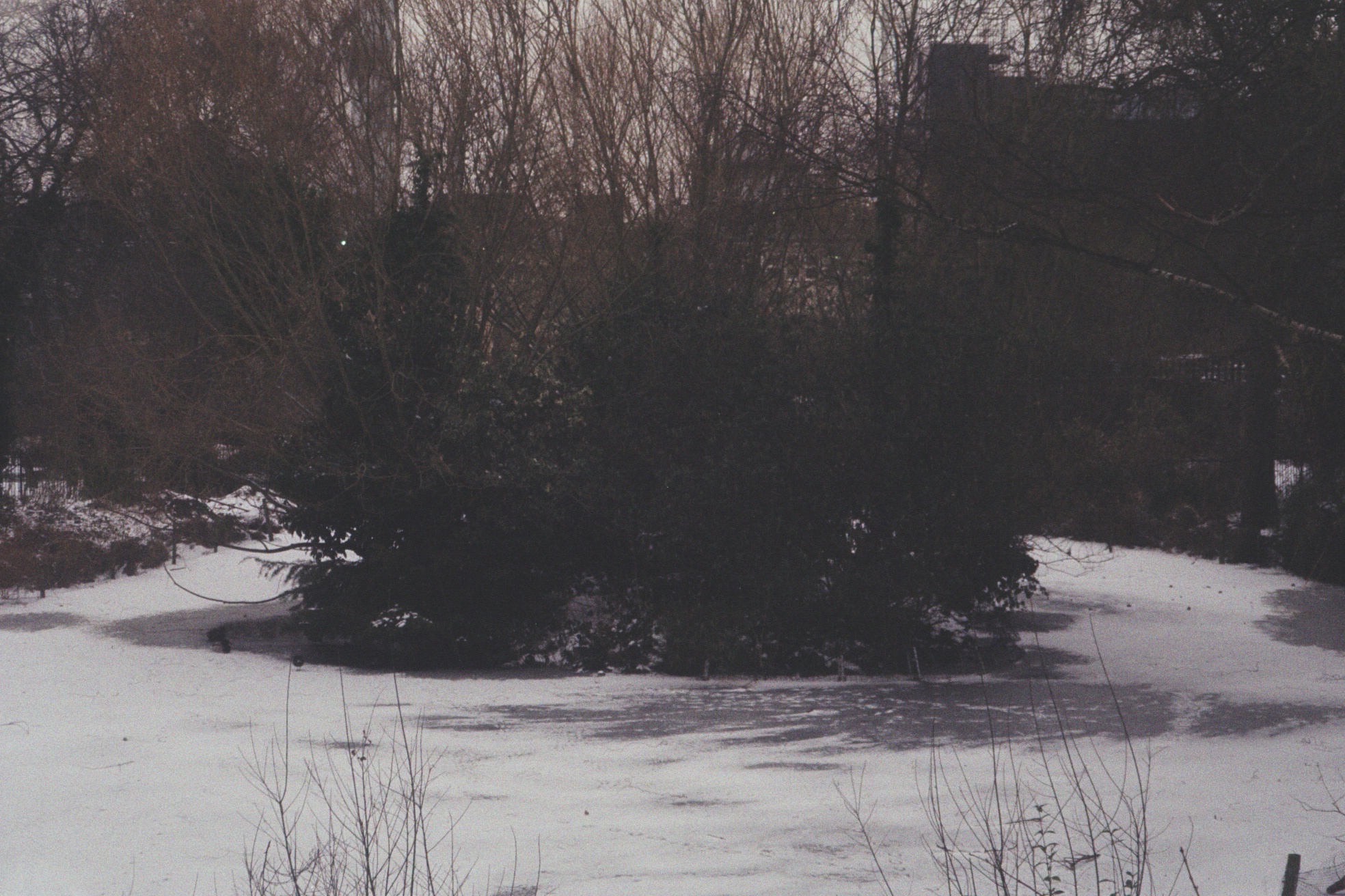 img0029 – Jeremy Stokes